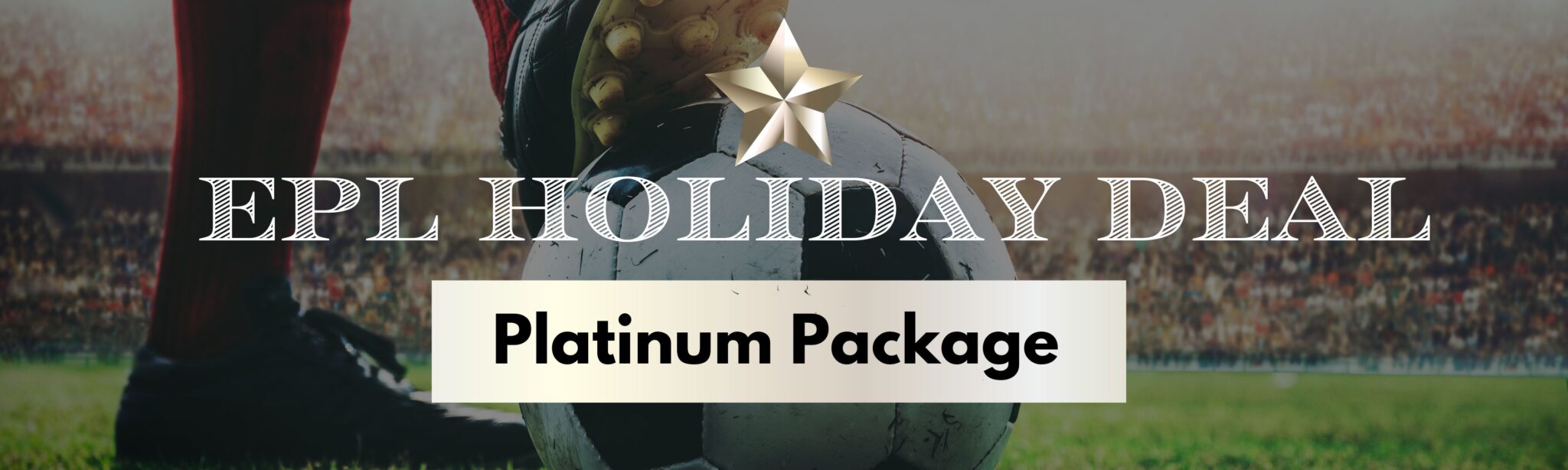 EPL soccer tour - Platinum Hospitality Package